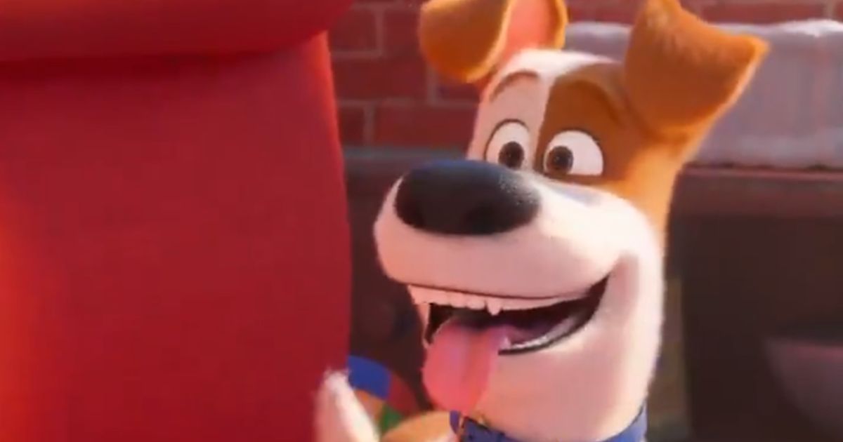 Pets2: ecco le prime immagini in anteprima | RDS 100% Grandi Successi